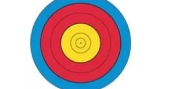 Arrowhead 40cm 3 Spot Vertical Target Face