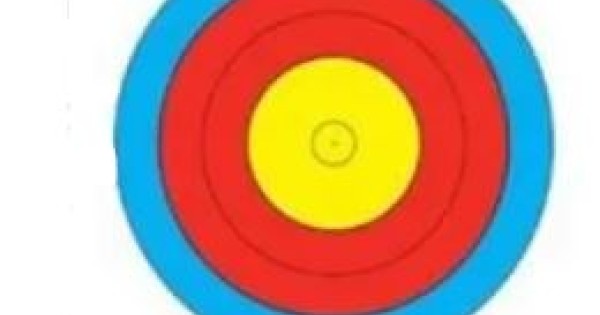 Arrowhead 40cm 3 Spot Compound or Recurve