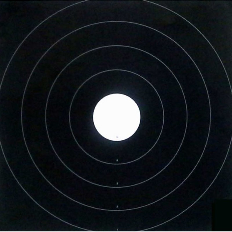 Target Faces and Pins