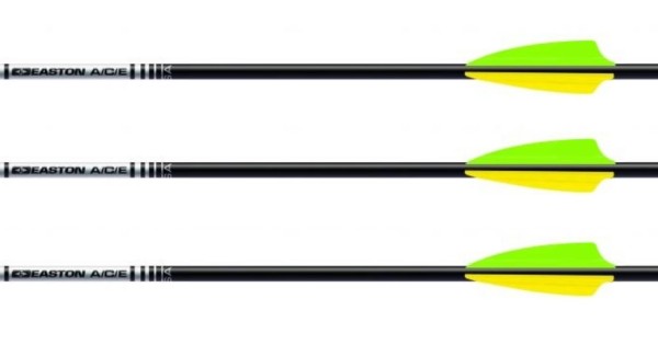 Easton ACE Carbon Arrows