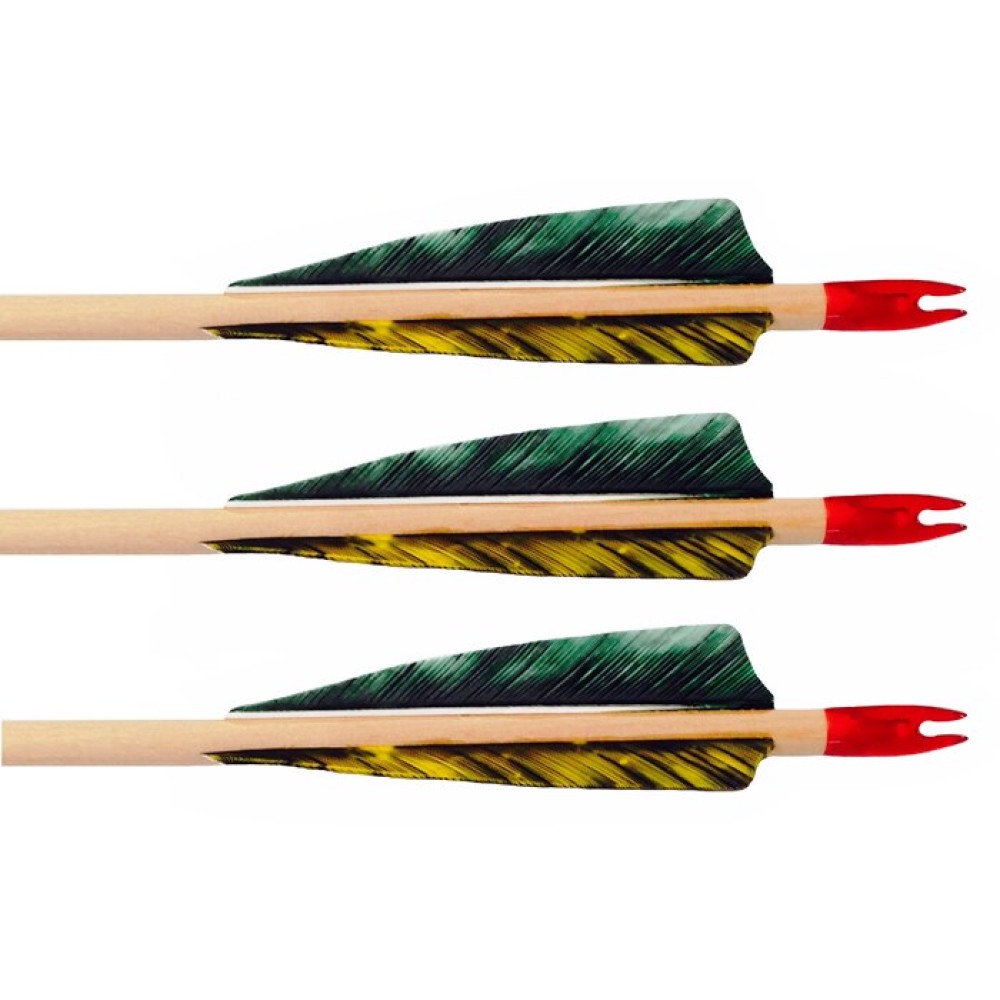 Traditional POC field arrows with Camo Shield back Feathers