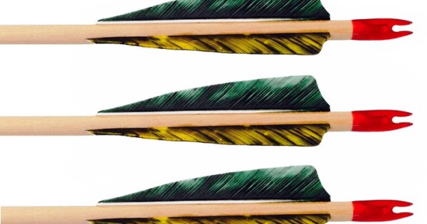 Traditional POC field arrows with Camo Shield back Feathers