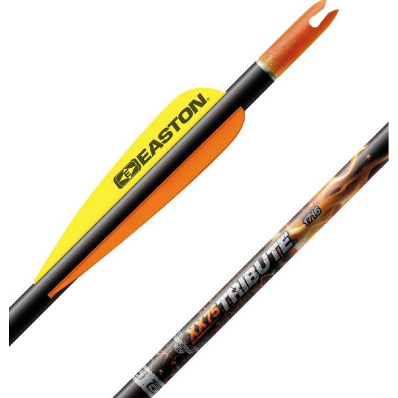 Traditional POC field arrows with Camo Shield back Feathers