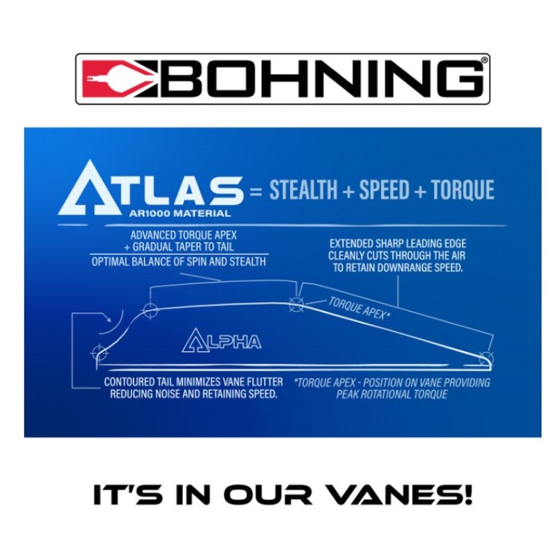 Vanes