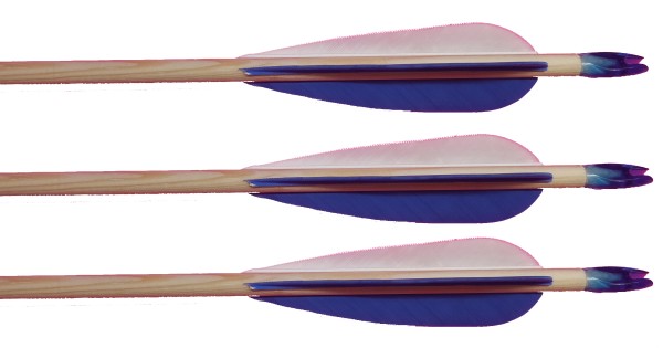 Traditional Pine Field arrows with 4" Shield back feathers