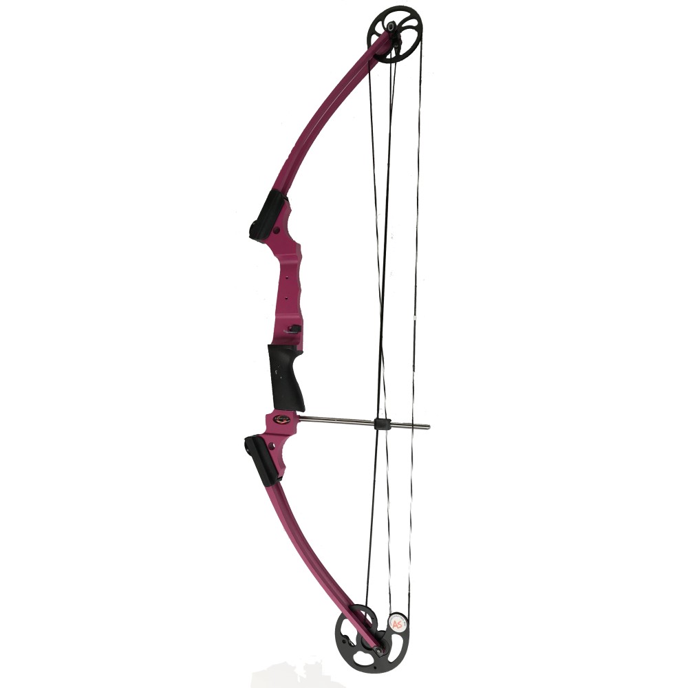 Mathews Genesis Compound Bow